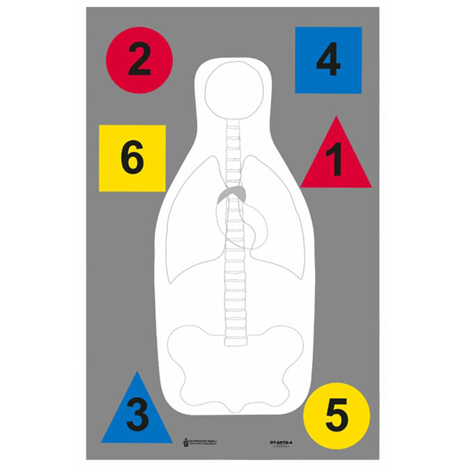 Action Target - Anatomy Command Target (23"x35") - HCC Tactical