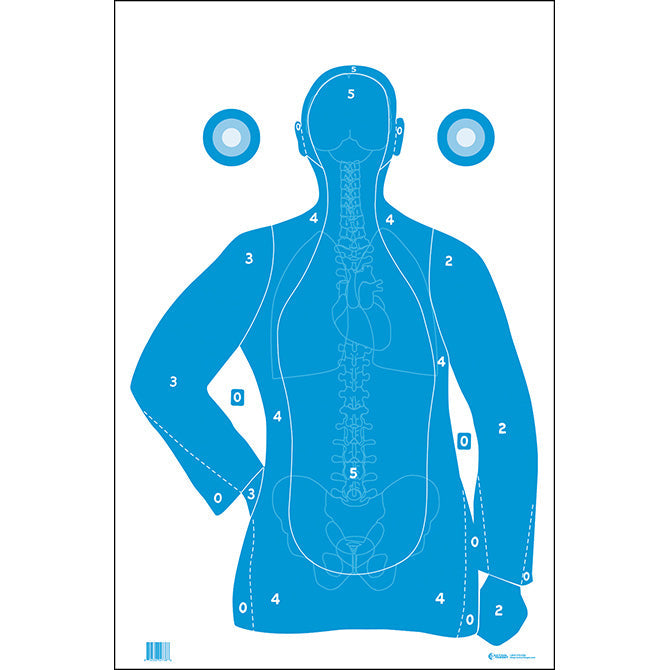 Action Target - Vital Anatomy (23" x 35") - HCC Tactical