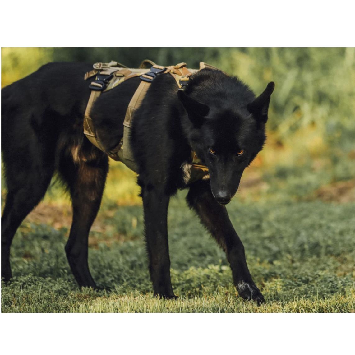Eagle Industries Canine Adjustable Harness - HCC Tactical