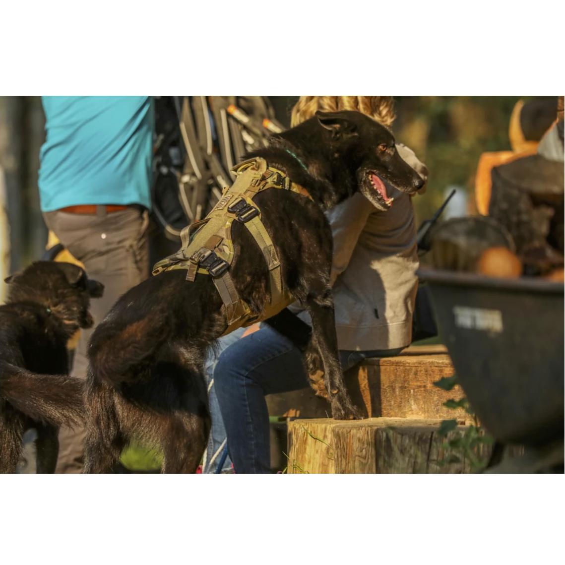 Eagle Industries Canine Adjustable Harness - HCC Tactical
